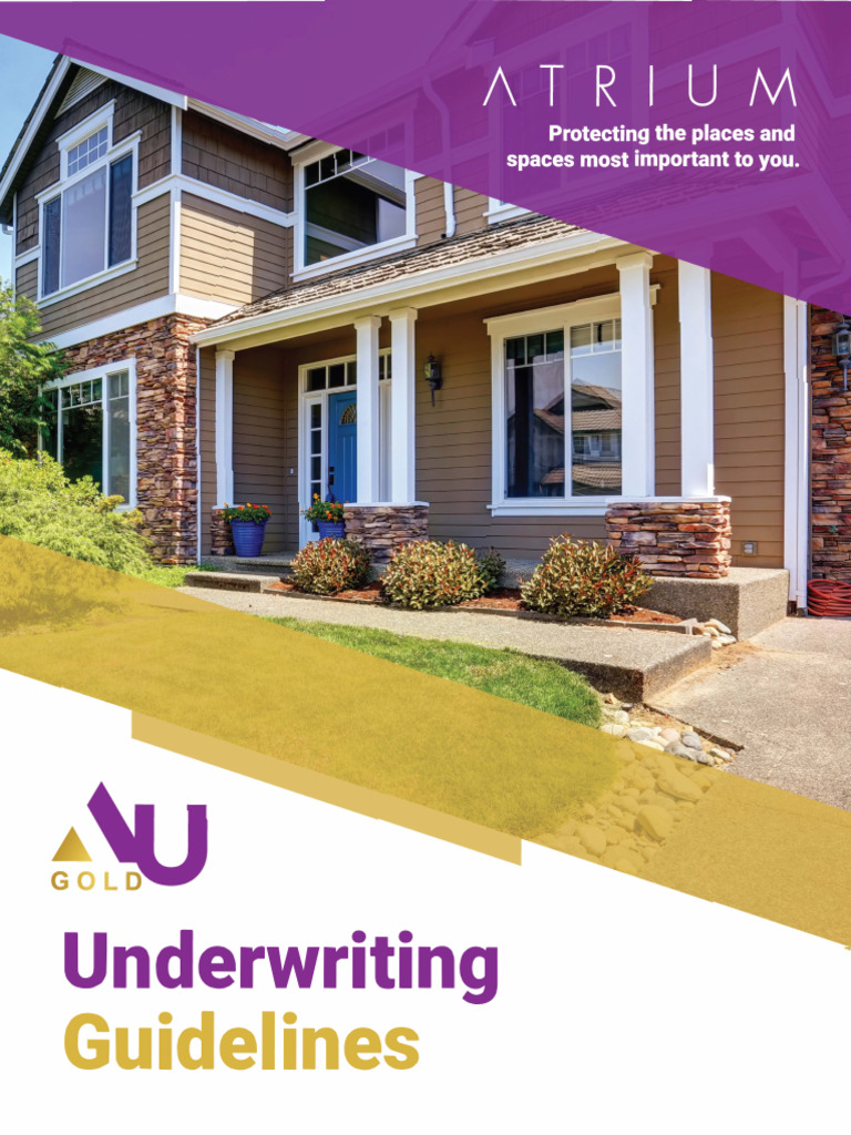 Comprehensive Underwriting Guidelines | PDF | Insurance | Business Law