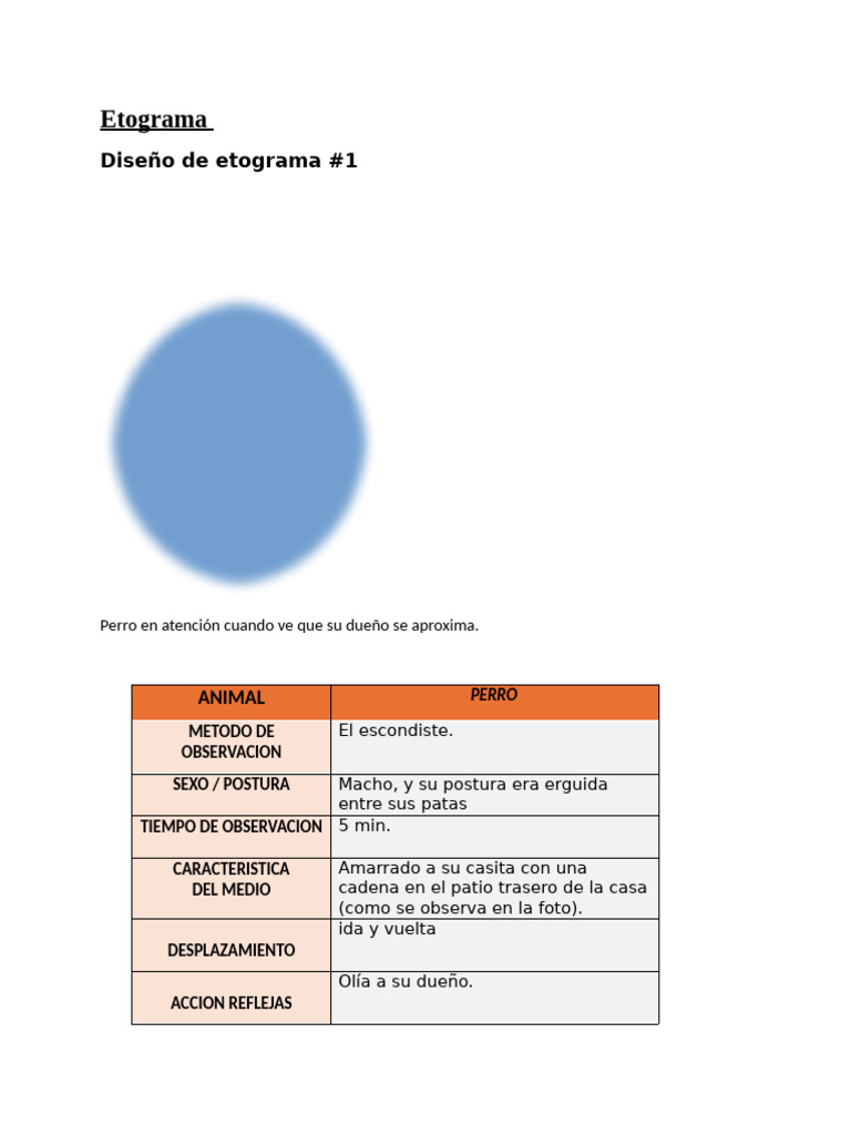 Etogramas de Comportamiento Animal | PDF | Observación | Aves