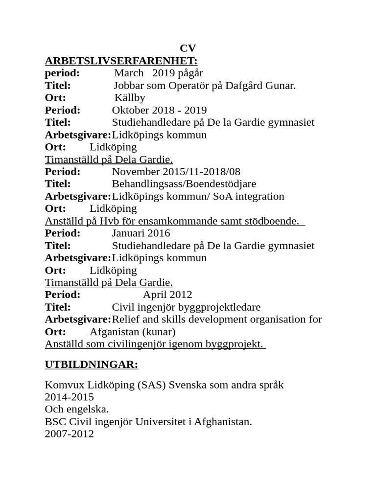 1 CV | PDF