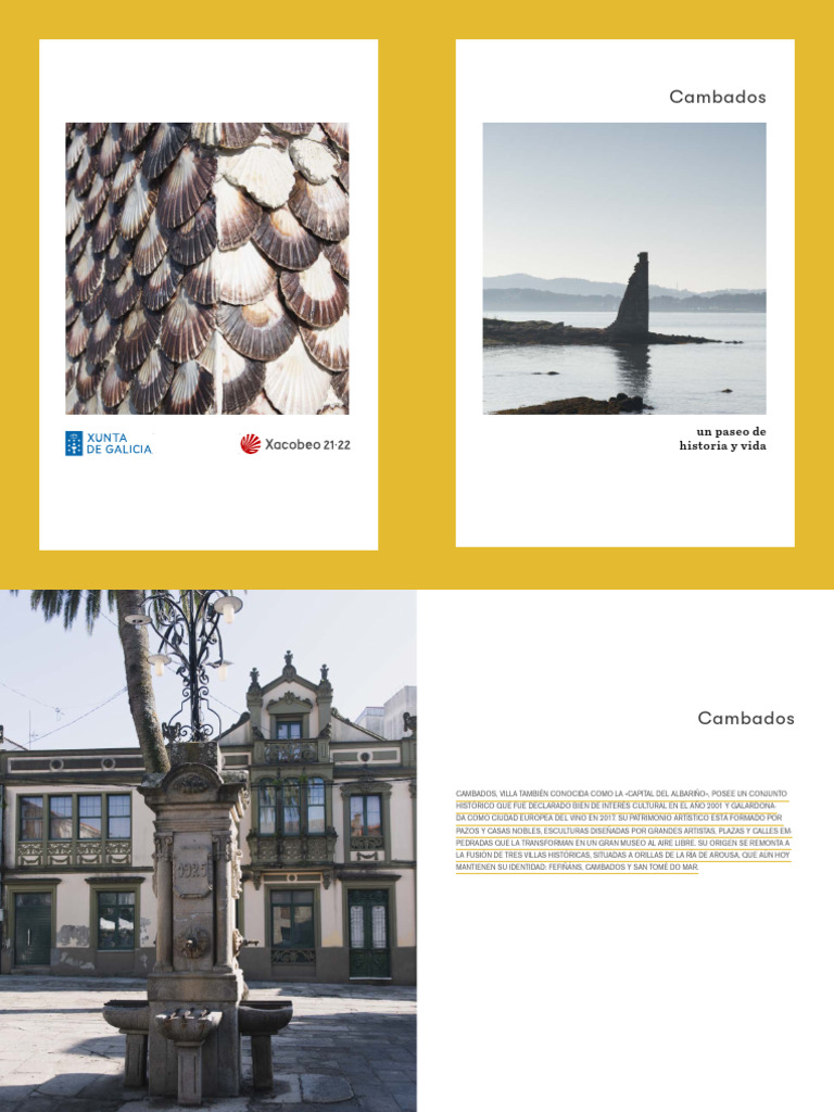 Camba Dos | PDF | Vino