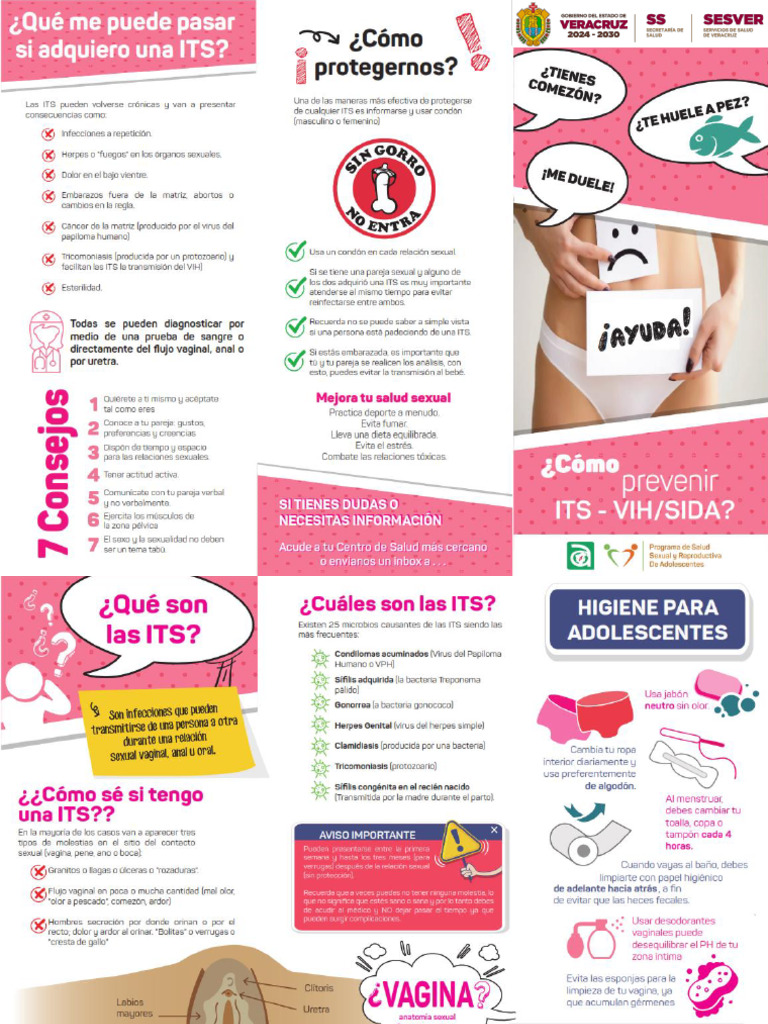 Triptico ITS 2025 | PDF