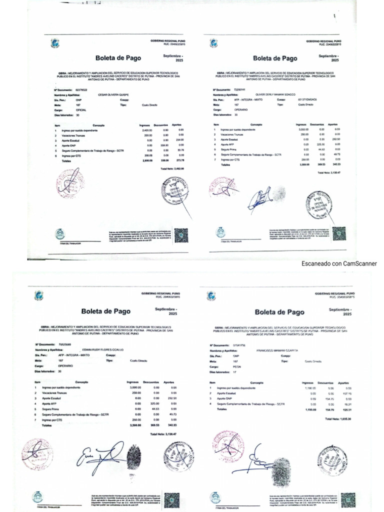 Boletas de Pago | PDF