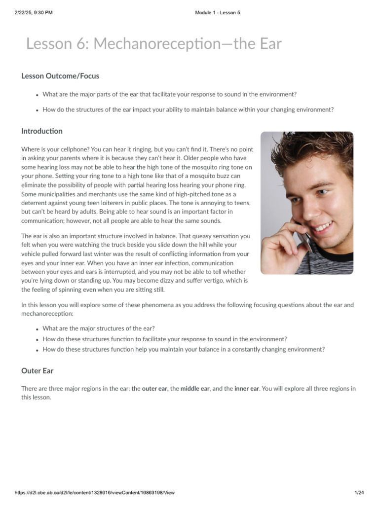 Lesson 6 - Mechanoreception-The Ear - Biology 30 | PDF | Ear | Hearing