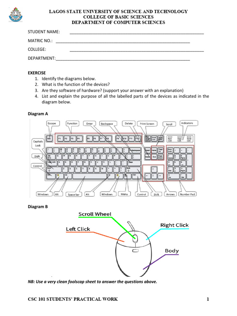 CSC101 Practical Workbook | PDF | Computer Network | Internet