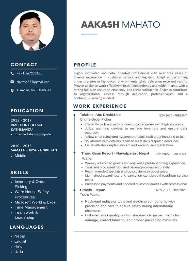 Professional Cv | PDF | Business