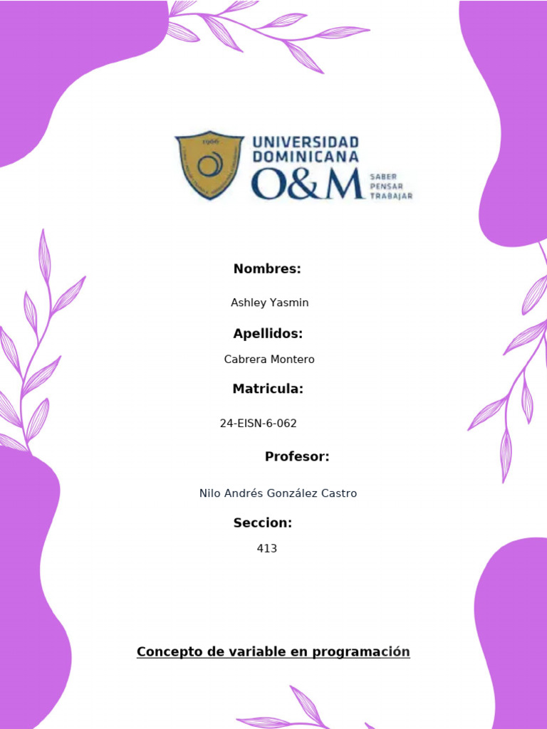 Las Variables en Programacion | PDF | Variable (informática) | Informática