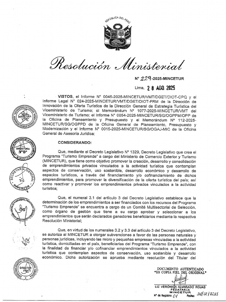 RM - 229 2025 Mincetur | PDF