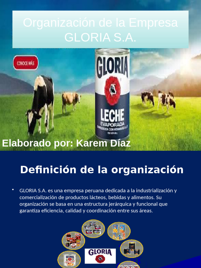 Estructura Organizacional de GLORIA S.A. | PDF