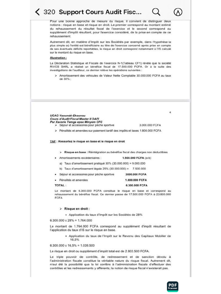 Audit Fiscal | PDF