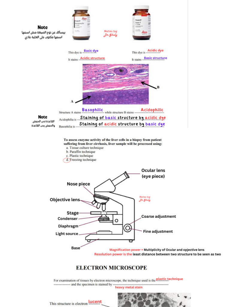 Model Answer of Practical Book With Notes | PDF