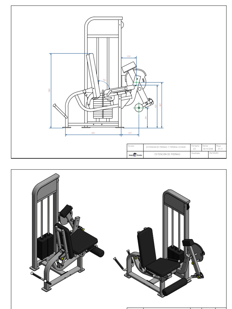 Dual Extencion y Curl Femoral | PDF