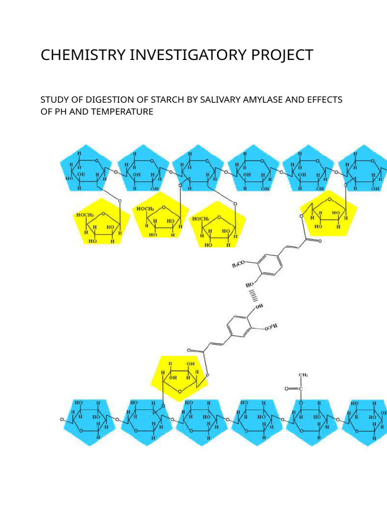 Chemistry Project On Starch Digestion | PDF