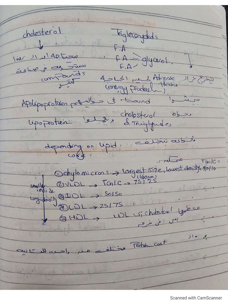 Hyperlipidemia | PDF