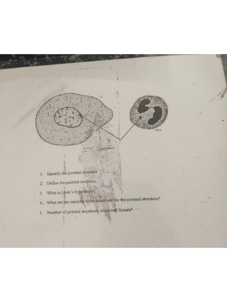 Genetic Charts | PDF