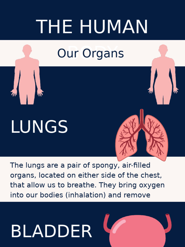 Dark Blue Pink Human Body Organs Presentation _20240206_103947_0000 | PDF