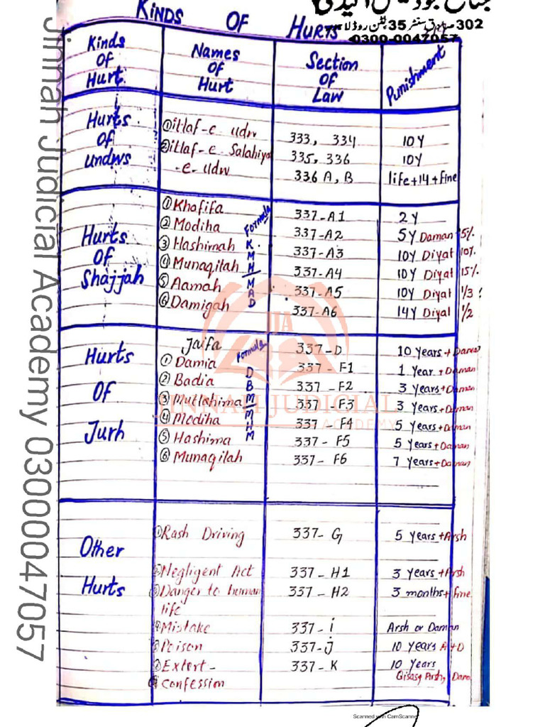 PPC Punishment Chart by JJA-1 | PDF