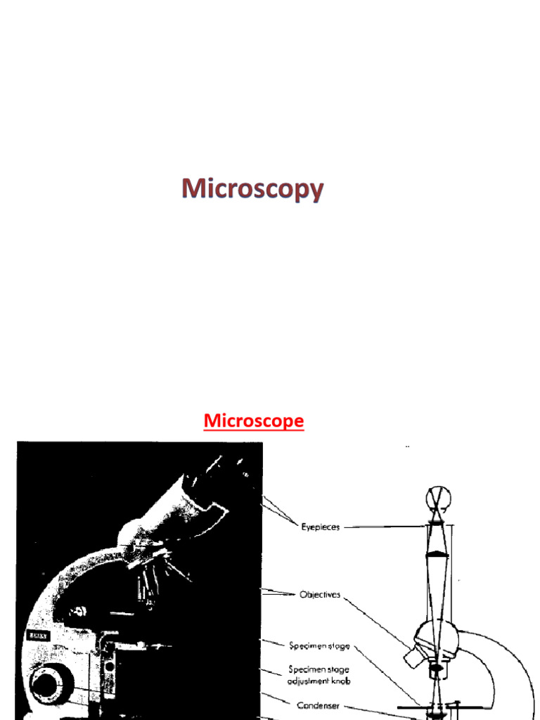 Microscopy, Staining Techniques and BT | PDF | Microscopy | Staining