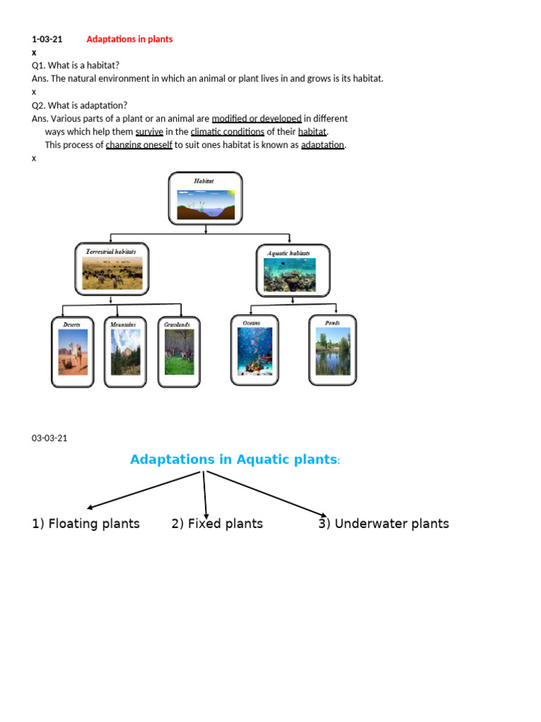 Plant Adaptations Explained Pdf