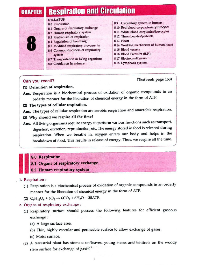 Class 12 Chapter 8 | PDF