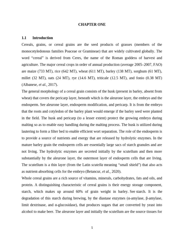 Cereal Main | PDF | Cereals | Beer