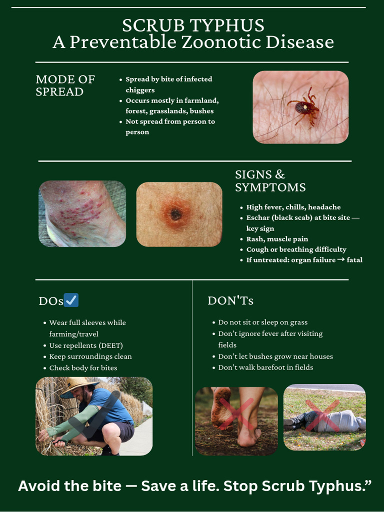 SCRUB TYPHUS A Preventable Zoonotic Disease - 20251023 - 170808 - 0000 ...