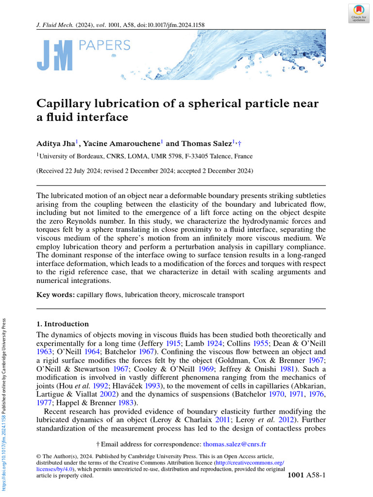 2024 - JFM - Capillary Lubrication of A Spherical Particle Near | PDF ...