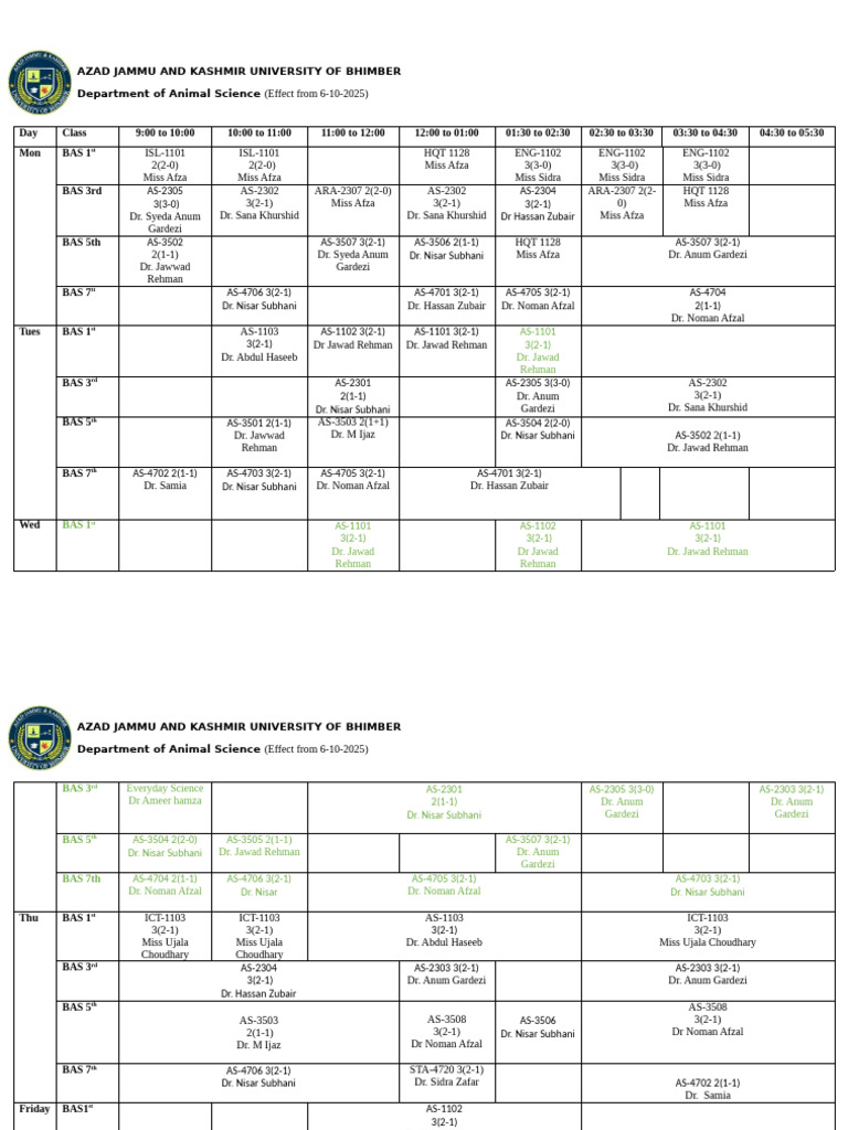 Final Copy Time Table Bs Fall 2025 | PDF