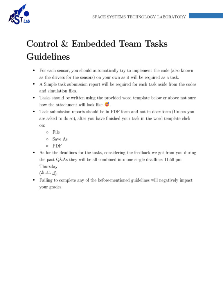 Tasks Guidelines | PDF