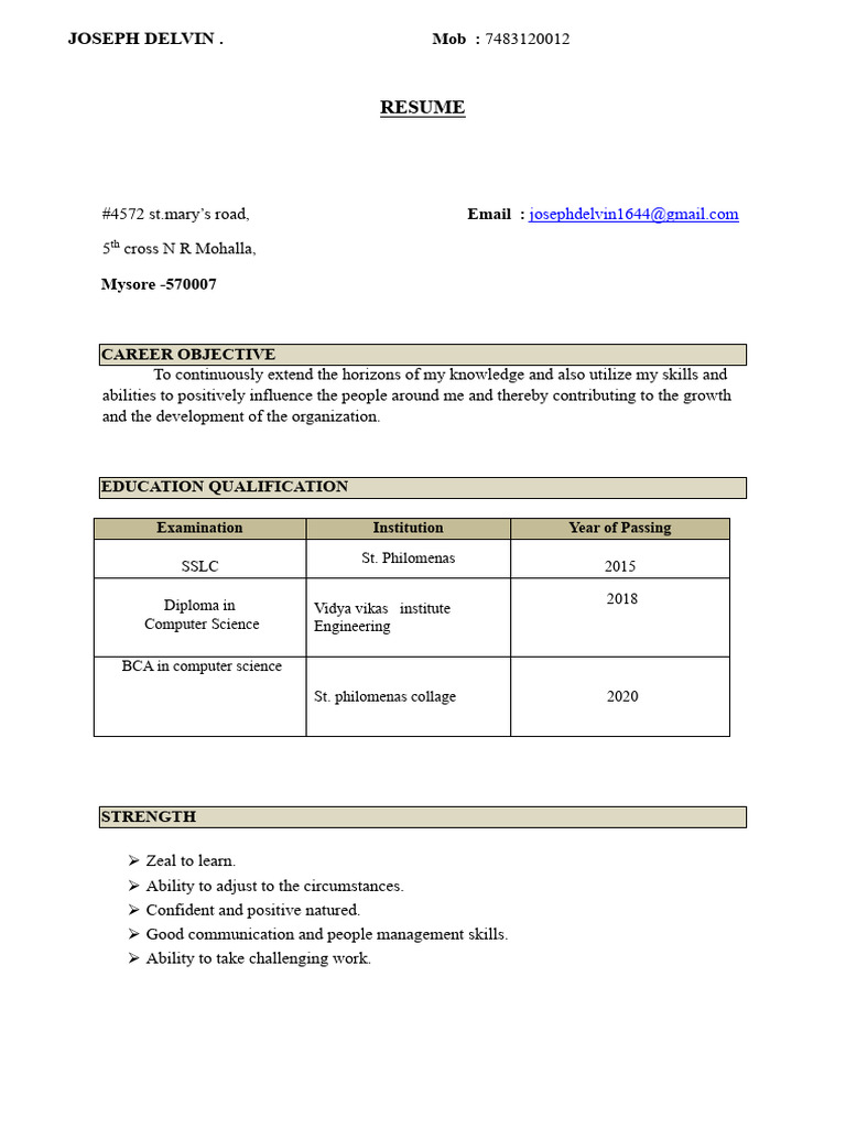 Delvin Updated Resume | PDF