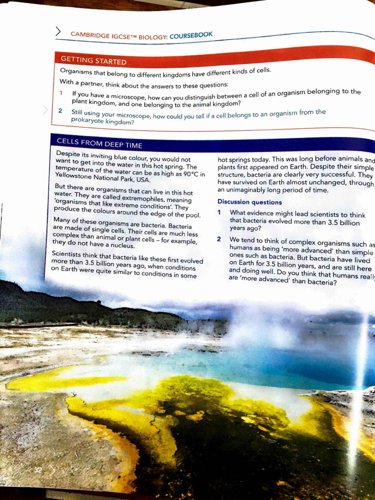 bio ch2 grade 9 | PDF