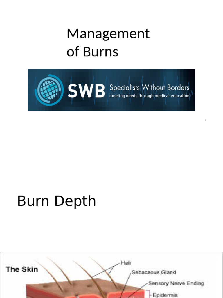 Comprehensive Burn Management Guide | PDF | Burn | Diseases And Disorders