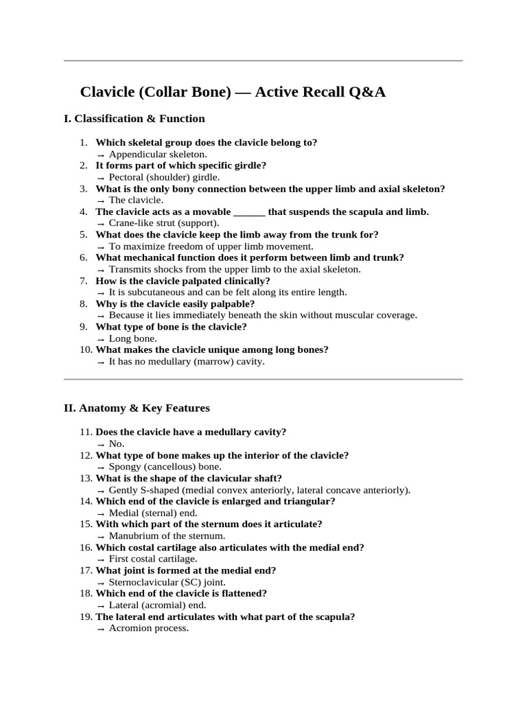 Active Recall Ans | PDF | Elbow | Arm