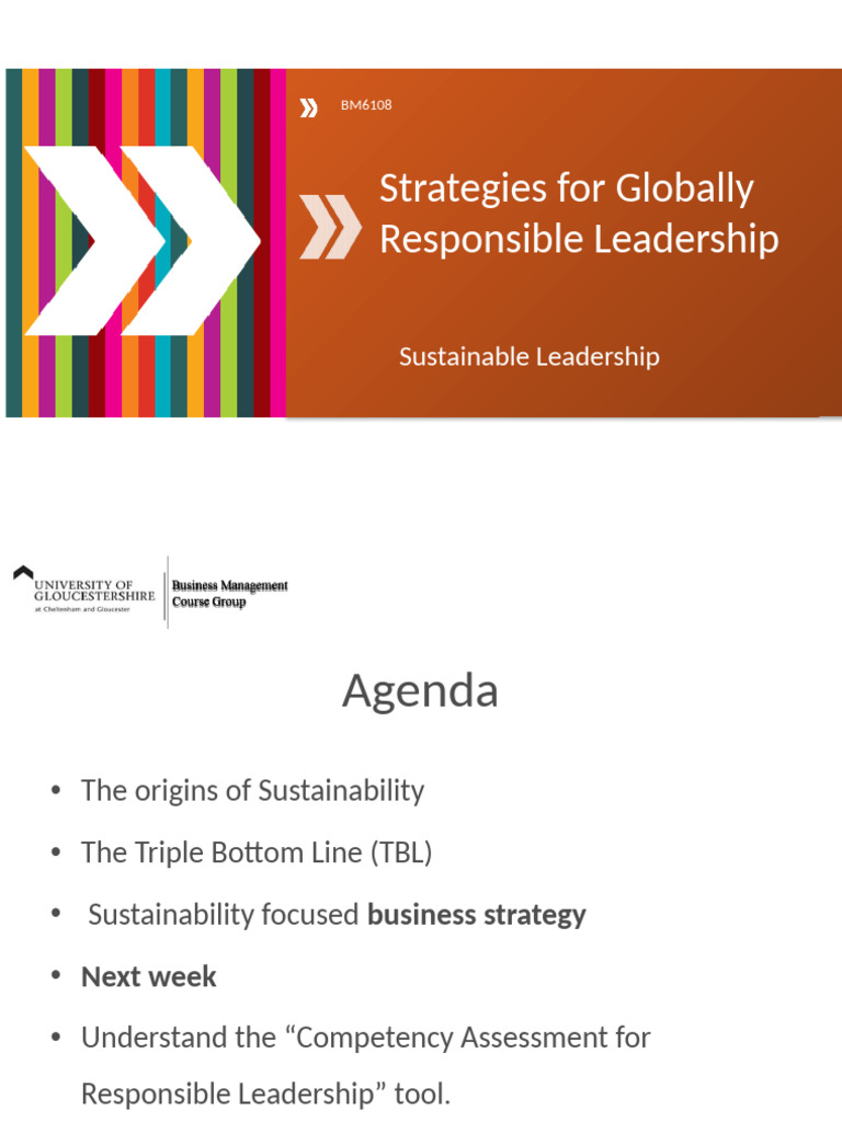 Sustainable Leadership Strategies Guide | PDF | Sustainability ...