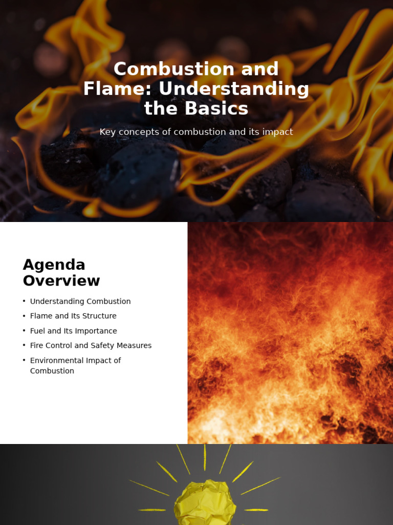 Combustion and Flame | PDF | Combustion | Air Pollution