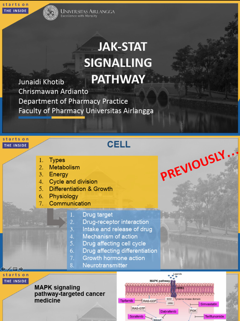 TM 7-Jak Stat Signaling Pathway | PDF | Cell Signaling | Life Sciences