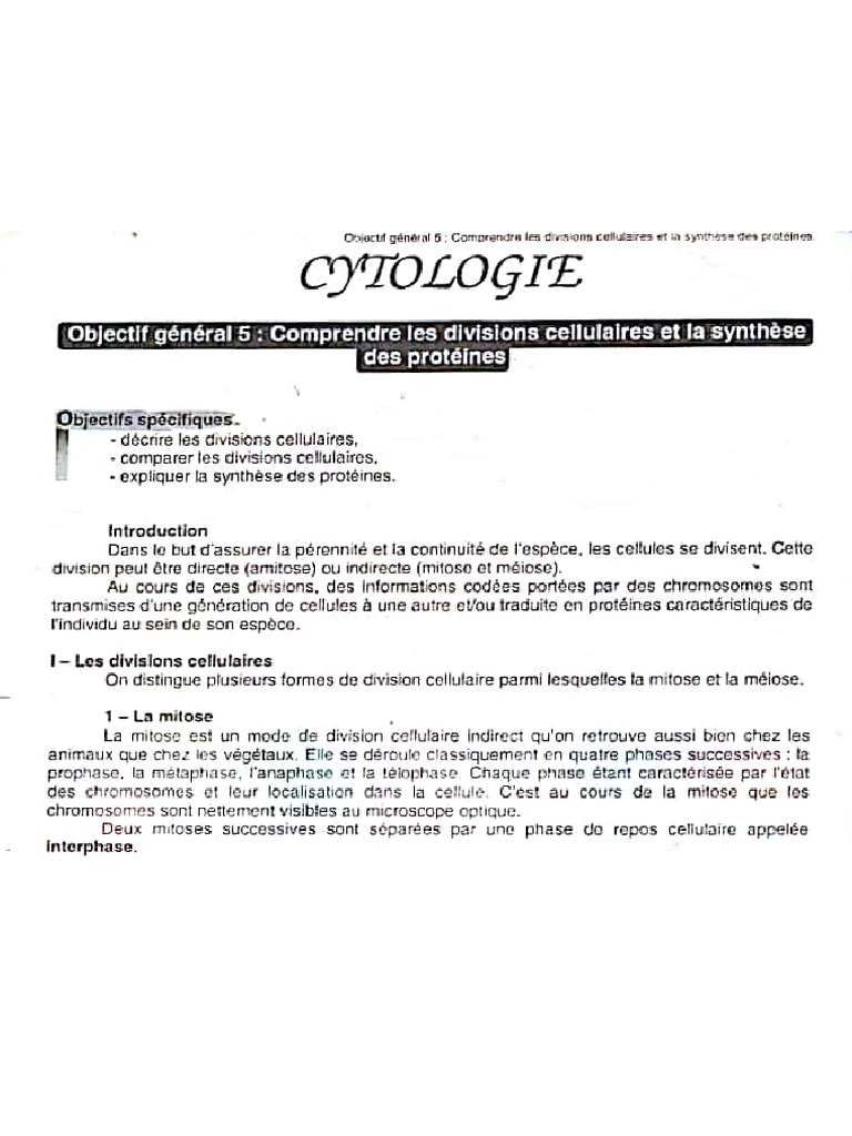 Cours Mitose Pdf
