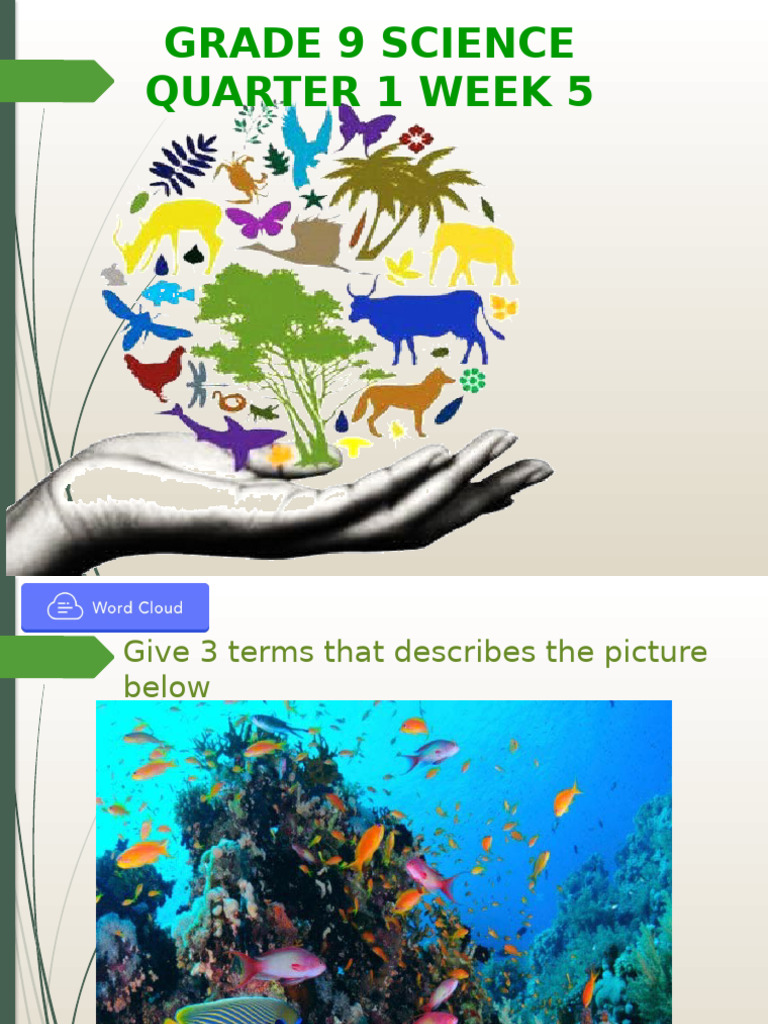 Biodiversity and Extinction | PDF | Endangered Species | Extinction