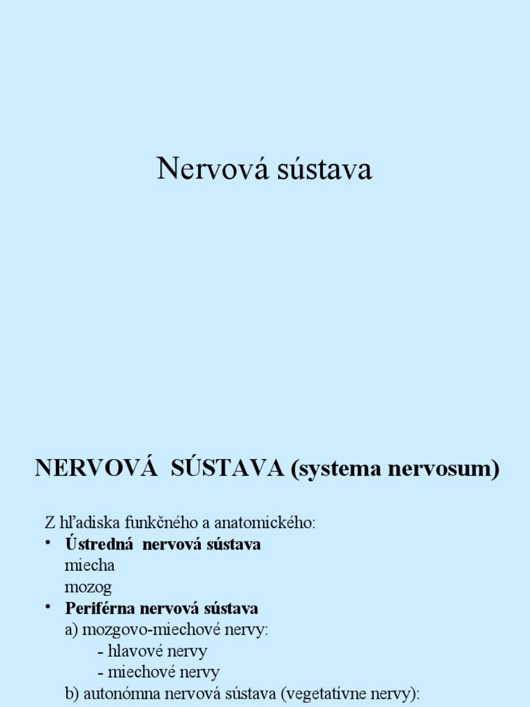 Nervova Sustava | PDF