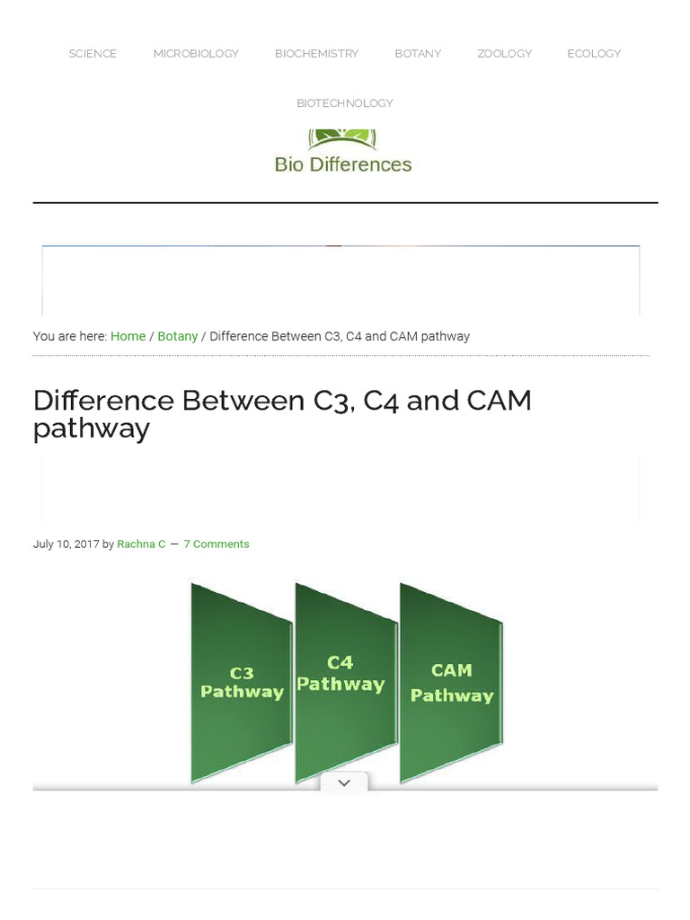 Difference Between C3, C4 and CAM Pathway (With Comparison Ch... | PDF ...