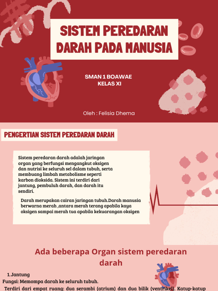Ppt_sistem Peredaran Darah | PDF