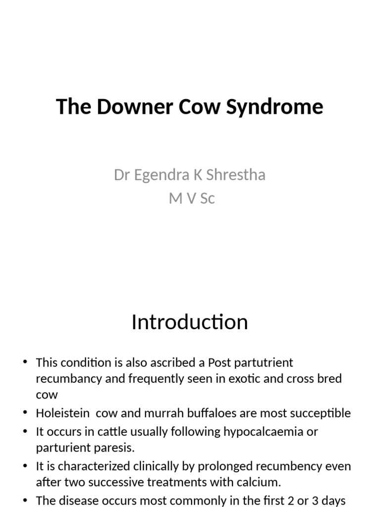 The Downer Cow Syndrome-1 | PDF | Clinical Medicine | Human Diseases ...