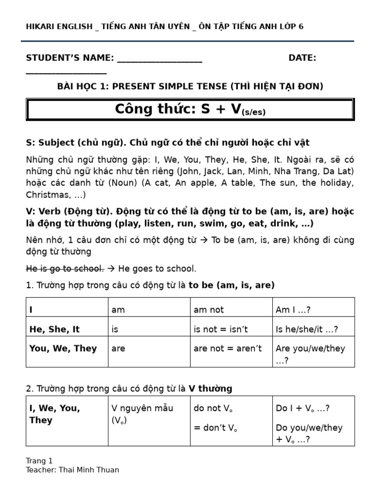 Lesson 1 Present Simple Tense | PDF