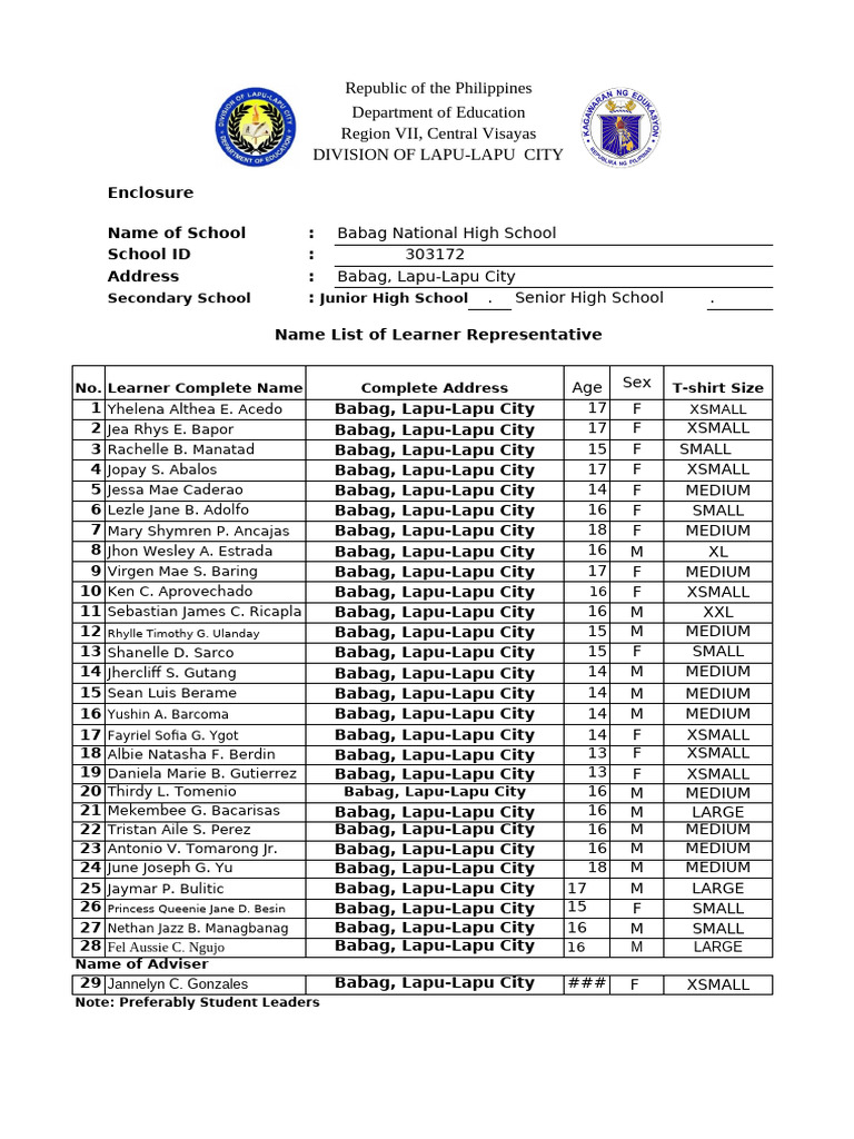Babag National High School Name List | PDF