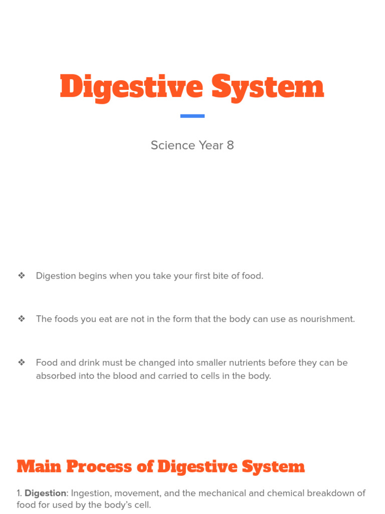 Understanding the Digestive System | PDF | Digestion | Human Digestive ...