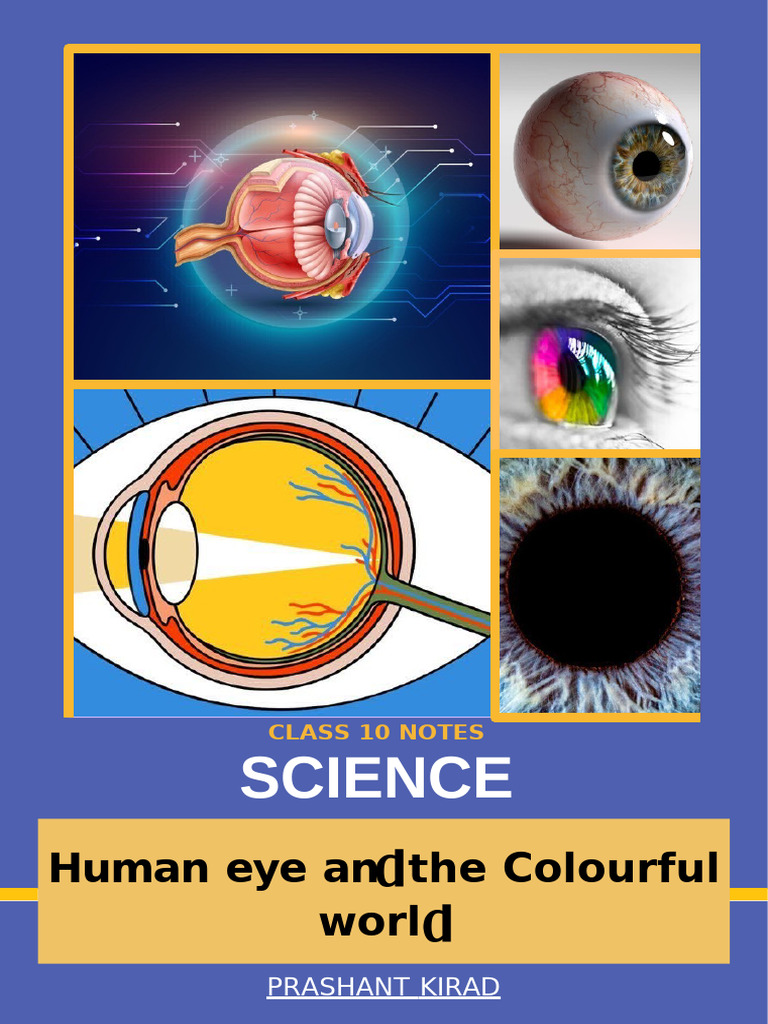 Human Eye and Vision Defects Guide | PDF | Eye | Sunset