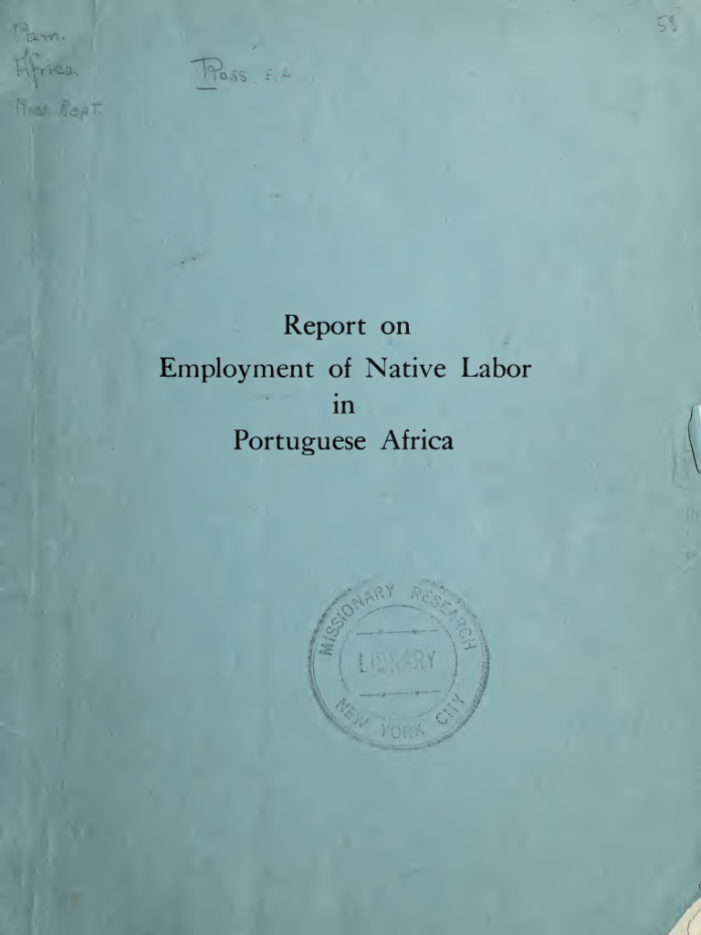 Report on Employ Me 00 Ross | PDF | Currency Appreciation And Depreciation