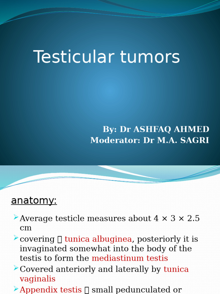 Testicular Tumor | PDF | Testicle | Anatomy