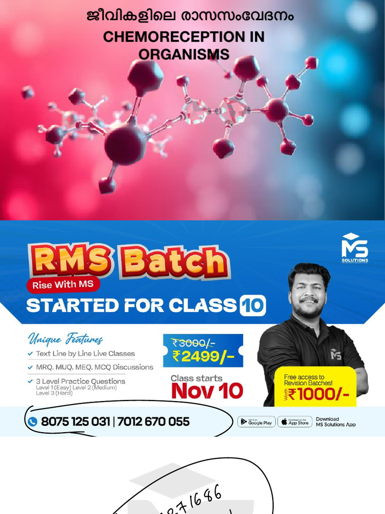 Bio 10 4 CHPTR Live Part 2 | PDF