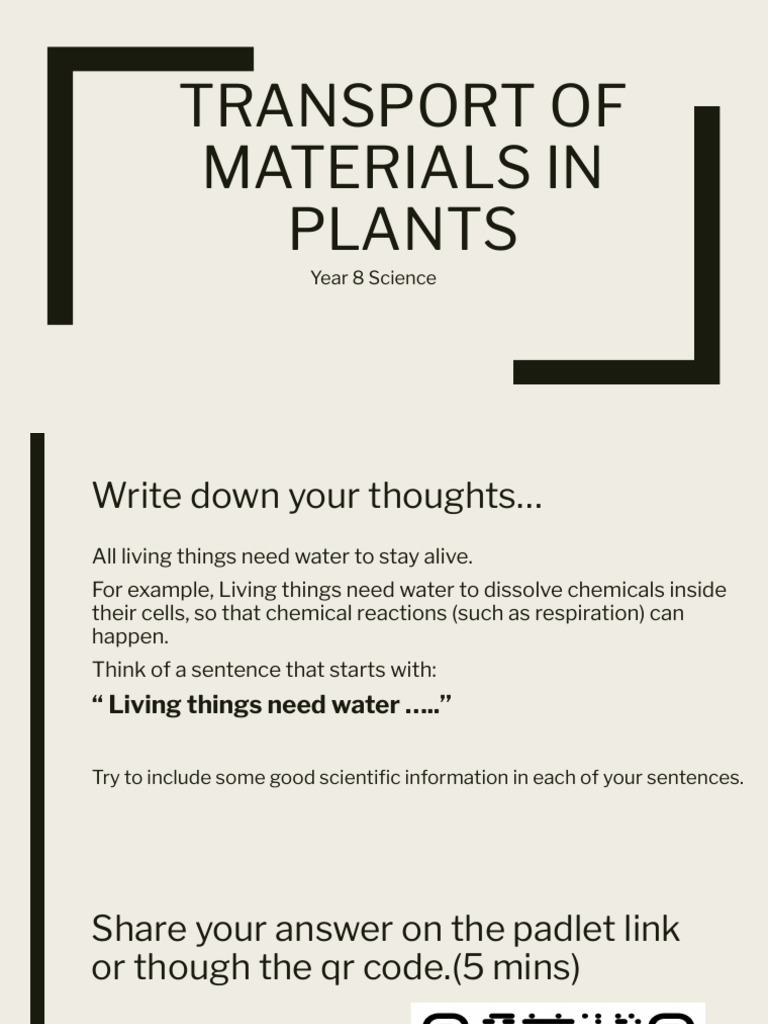 Water Transport in Plant Roots | PDF | Root | Cell (Biology)