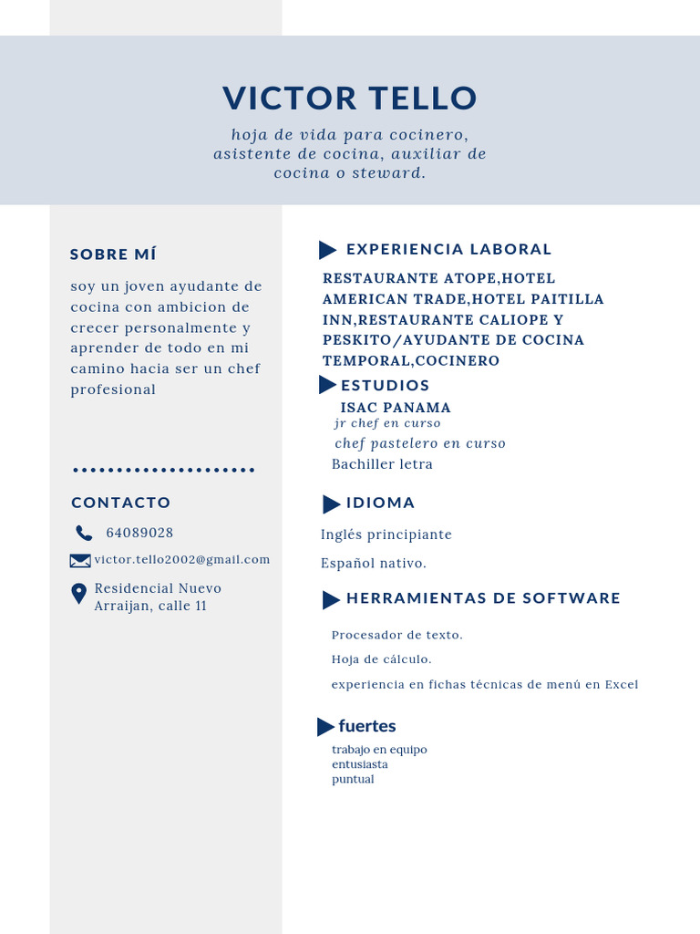 CV Sin Foto Trabajo Formal Joven Blanco Azul | PDF